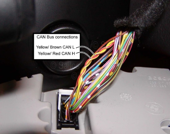 por inadvertencia Benigno Competencia colores cables can bus aves de ...